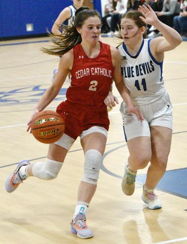 Neb. Girls’ Sub-District Pairings Announced | Sports | yankton.net