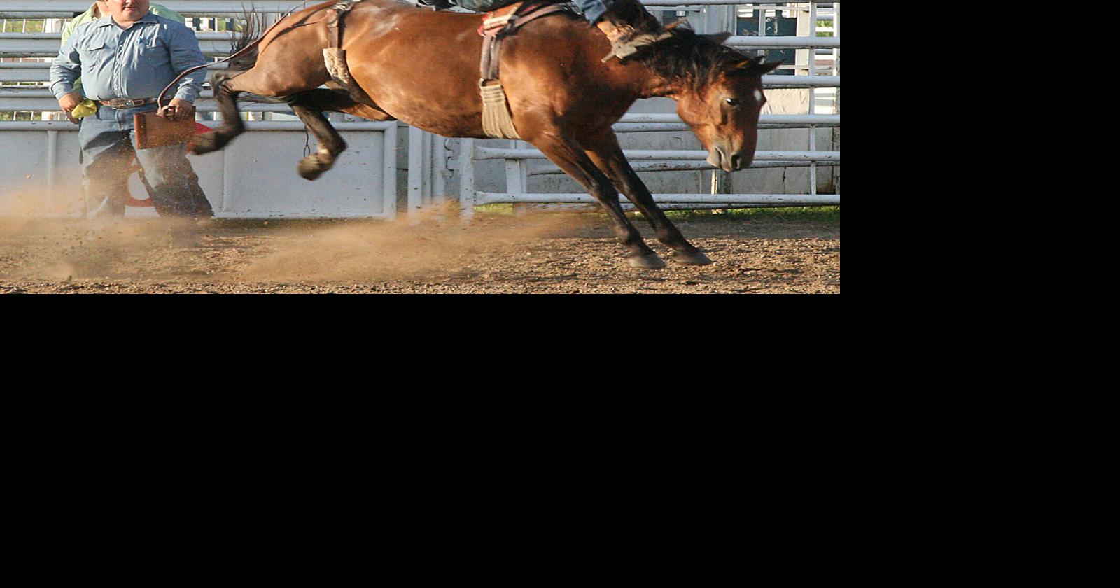 Scotland Rodeo On Schedule, Dedicated To Co-Founder | Community ...