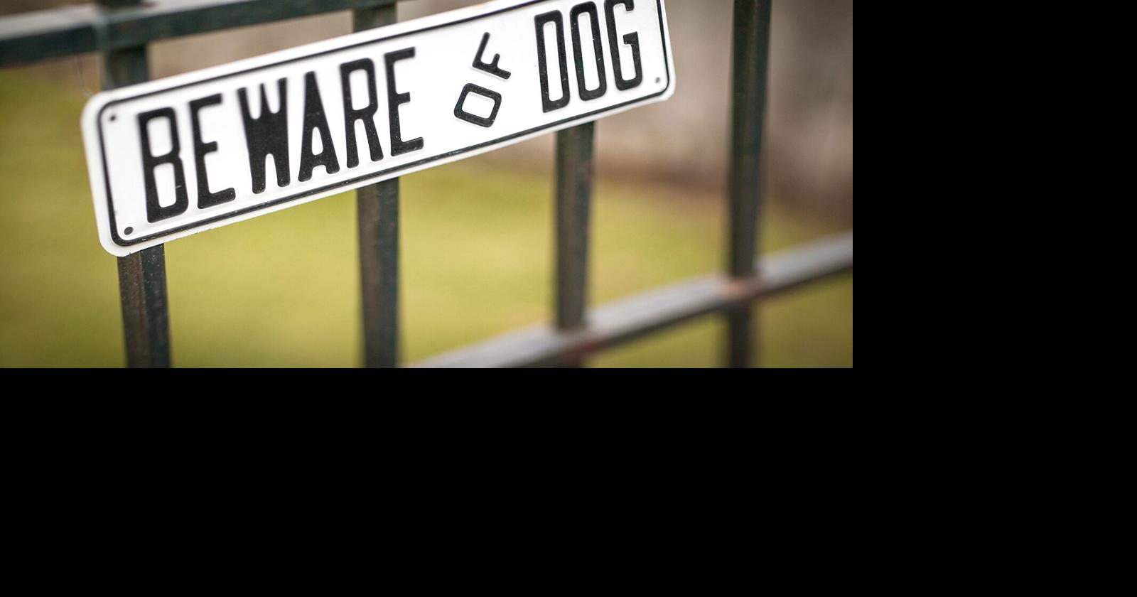3rd Person Charged In Freeman Dog Attack | Community | yankton.net