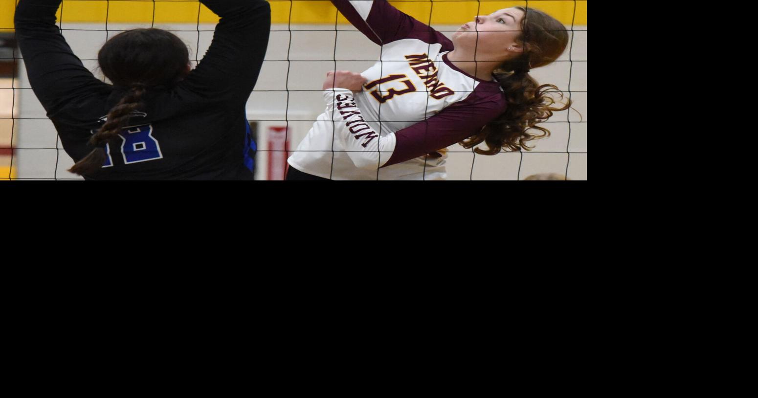 Volleyball: Wolves Sweep Eagles | Sports | yankton.net