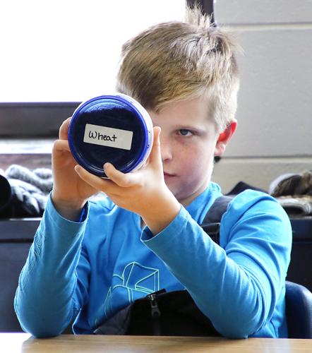 Dylan Steil inspects a container of wheat | Community | yankton.net