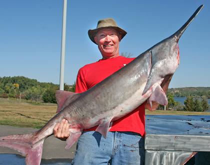 No Snags Here: Paddlefish Season Arrives Below Gavins Point Dam ...