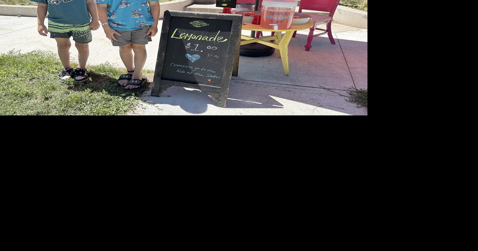 Kids Selling Lemonade To Buy Swim Passes For Shelter Children ...