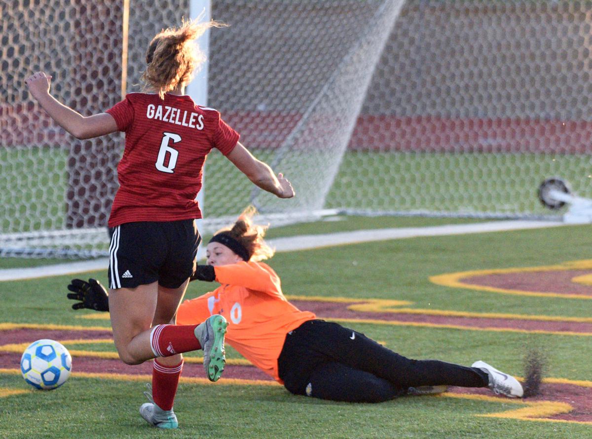 Golden Gazelles! Yankton Wins State Soccer Title | Sports | yankton.net