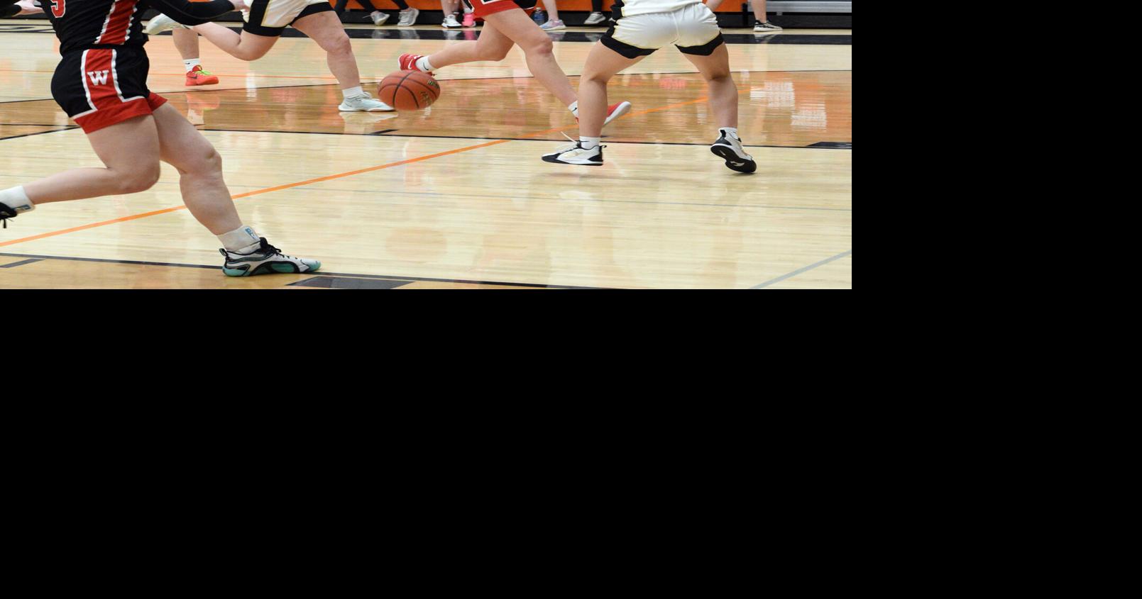 Girls' Basketball: Young But Experience Wagner Squad Set For State ...