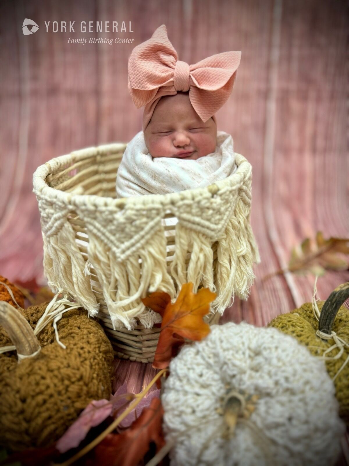 Lynlee Elizabeth Ann Smith