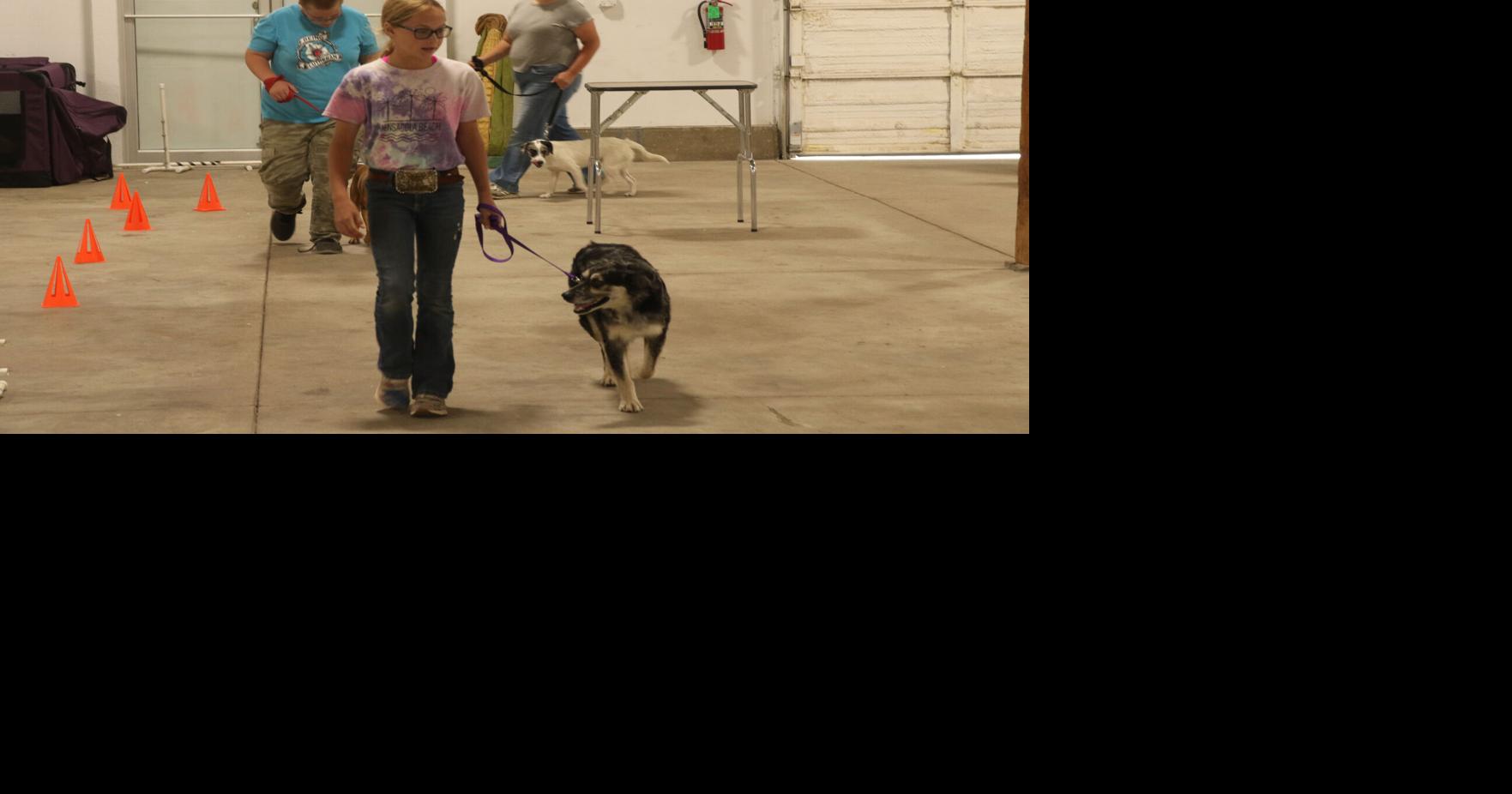 Practice continues ahead of the York County Fair dog show