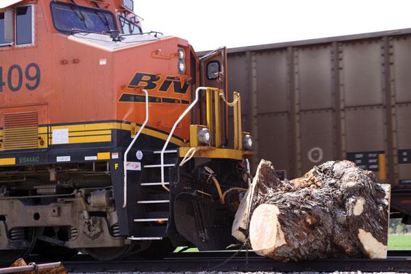 Train hits tree trunk