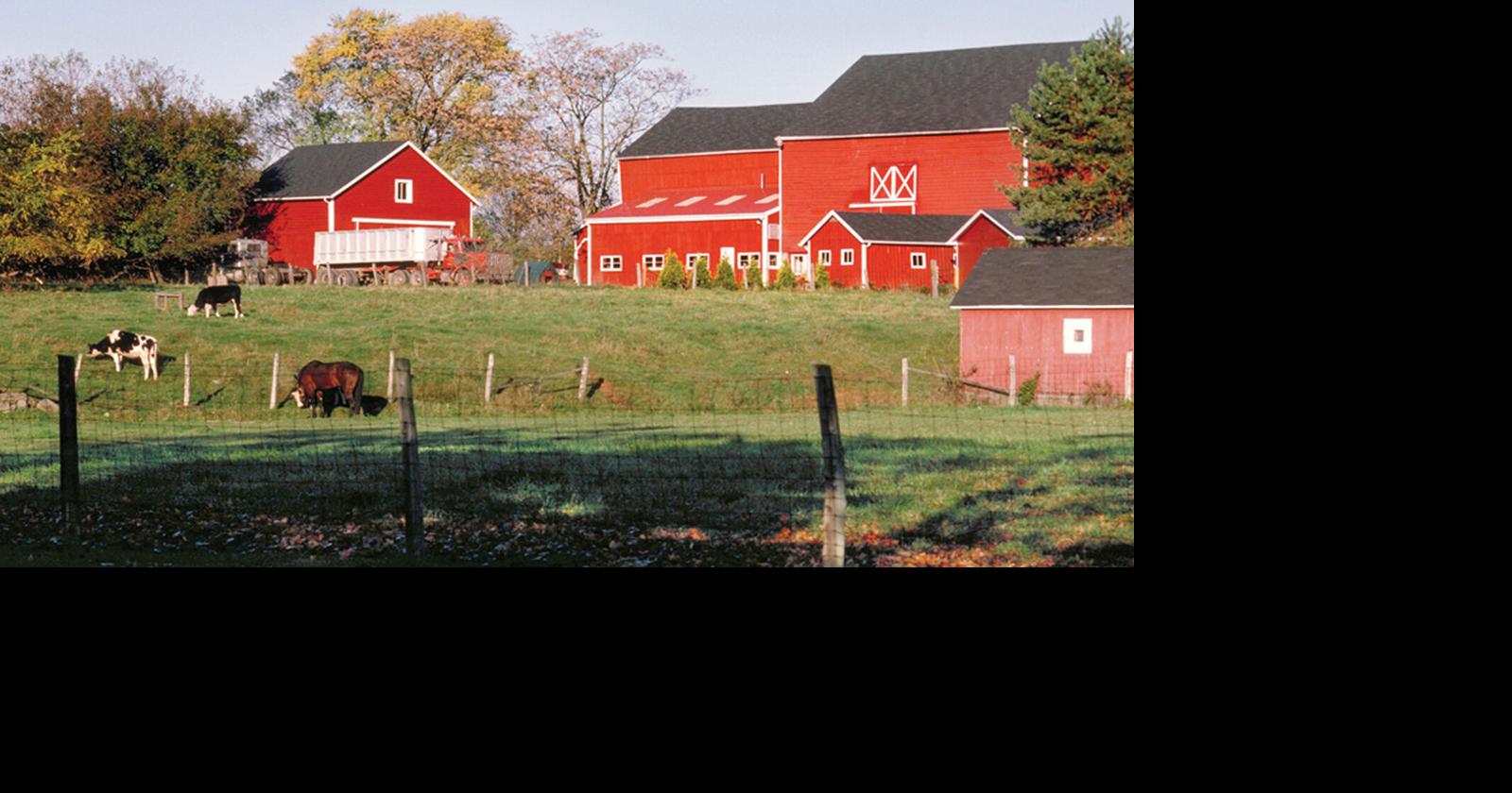 Kerry Hoffschneider: Old young men in farm country