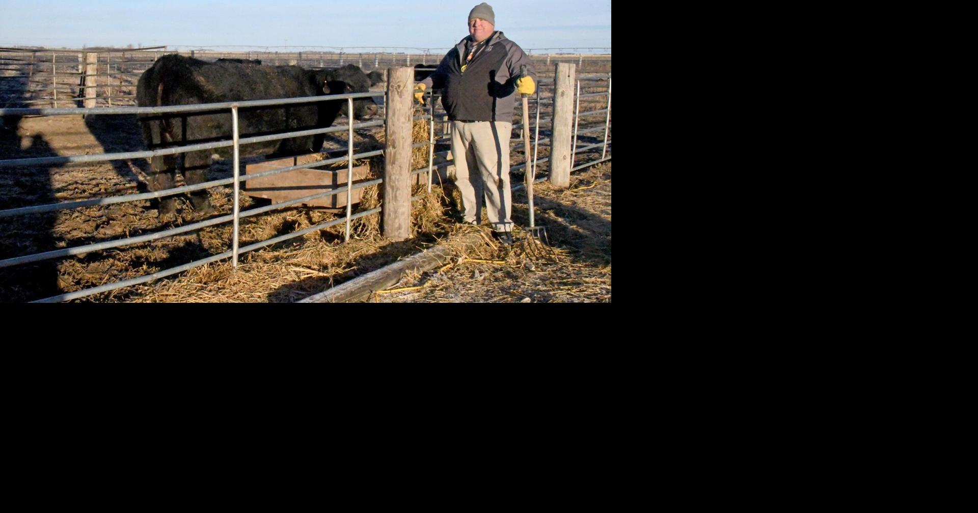 Miller, Hawk Herd to be honored by area cattlemen