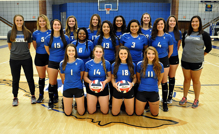 Group photo of the York College volleyball team