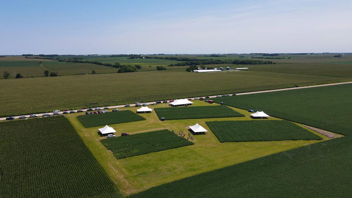 Nebraska Soybean Management Field Days celebrates 25 years in the field