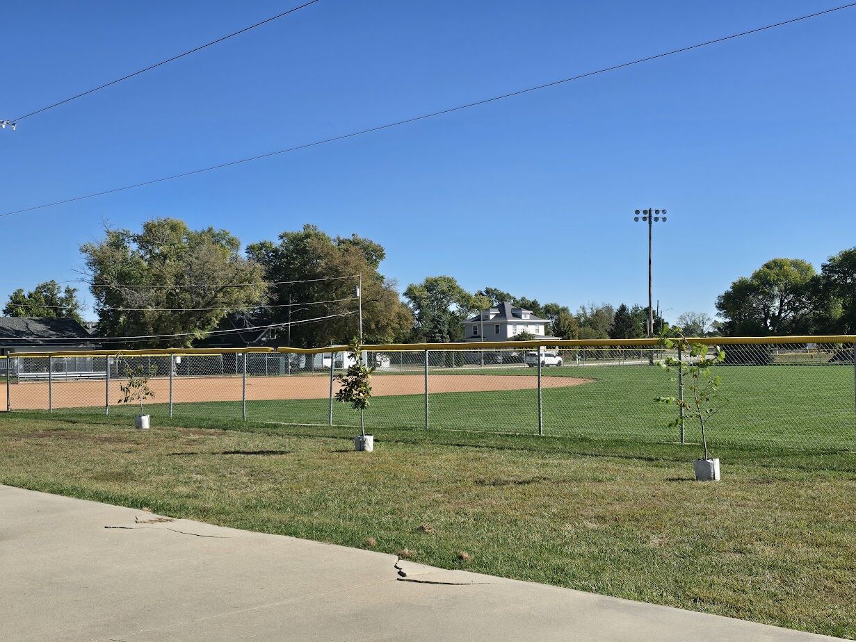 York Parks and Rec plants 28 trees through state grant
