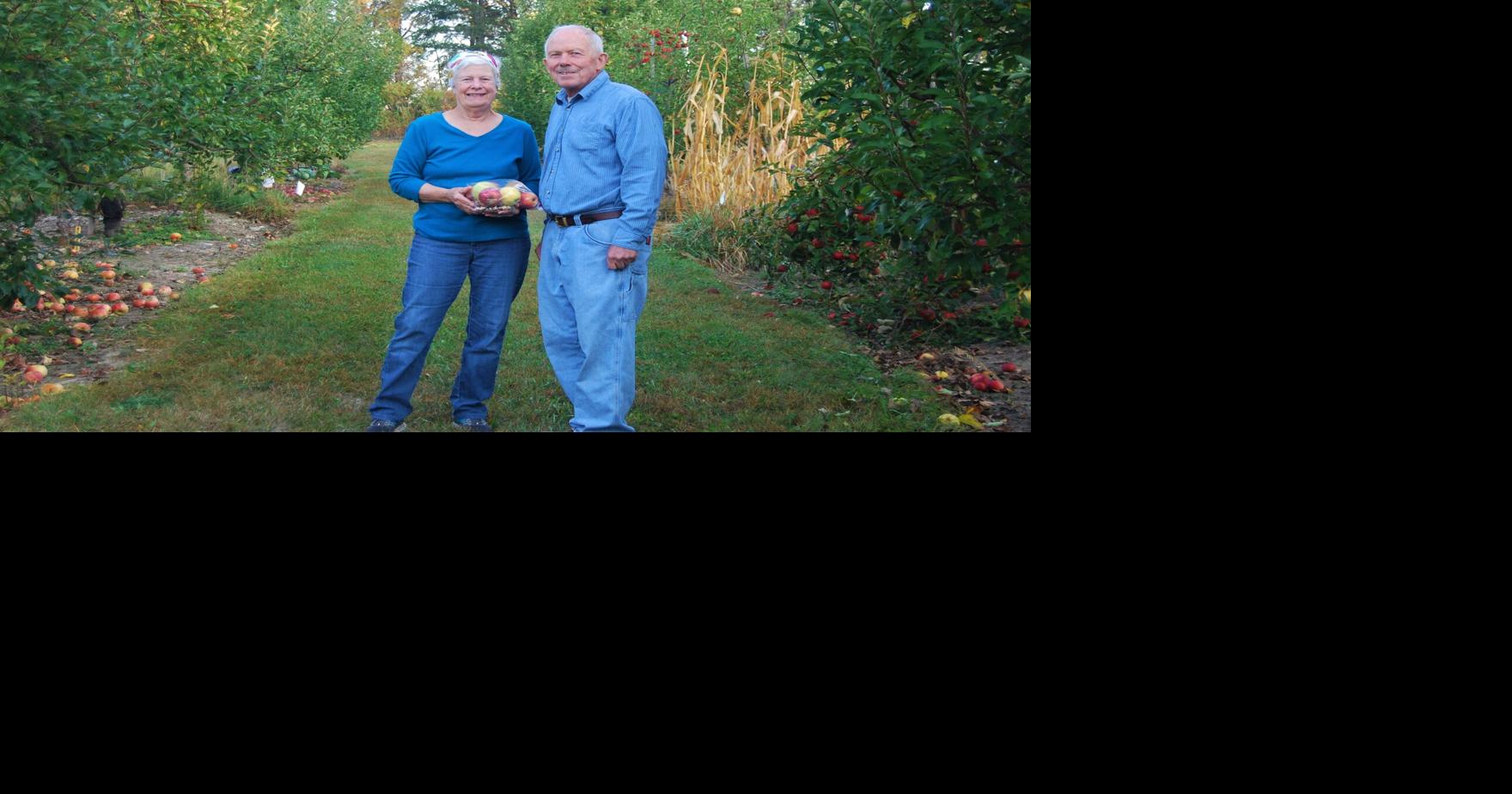 Apples grown for flavor at the Blue River Apple Orchard