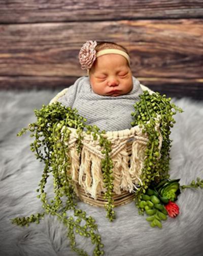 Birth announcement: Evelyn Mae Cole