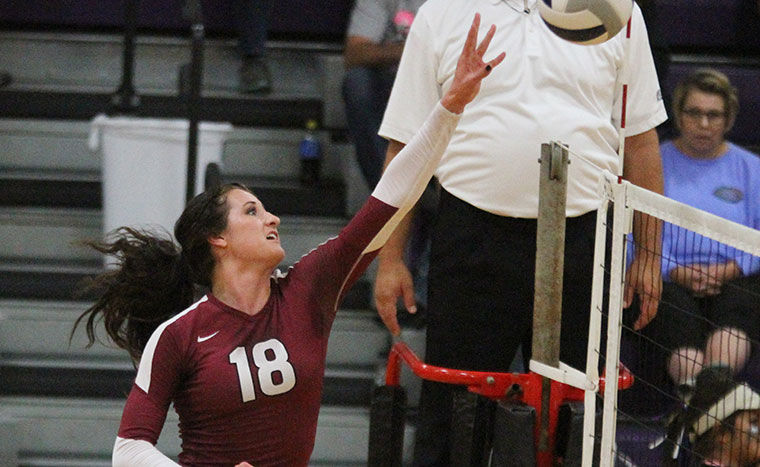 YNT Area Volleyball Stat Leaders