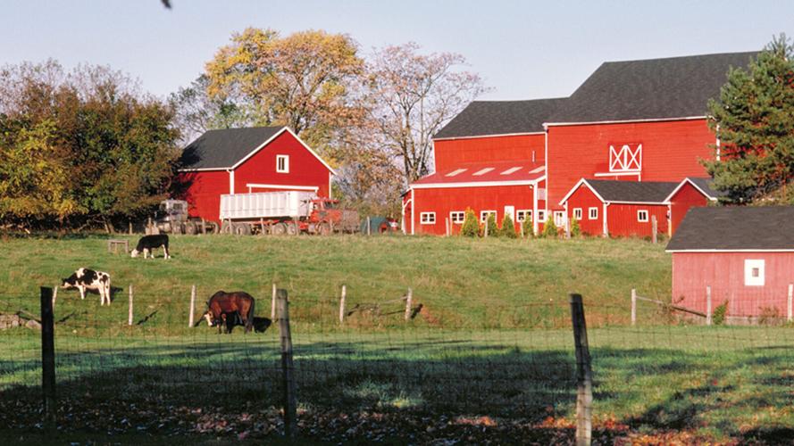 Kerry Hoffschneider: Old young men in farm country