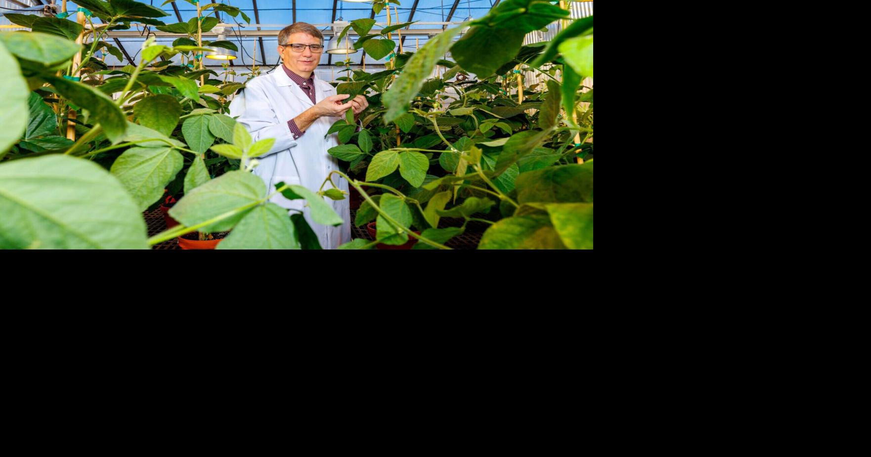 University of Nebraska biochemist named to world's most prestigious ...