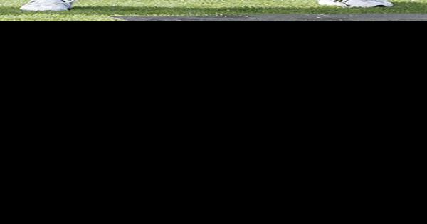 Mason Brodine from Elm Creek, pop. 901