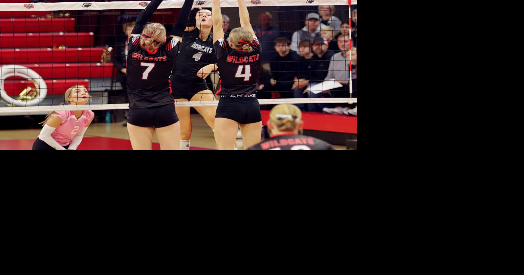 EMF falls to Superior in D1 finals