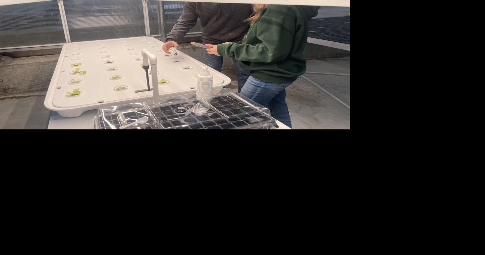 Lettuce in Corn Country: A new hydroponics unit at Centennial Public ...