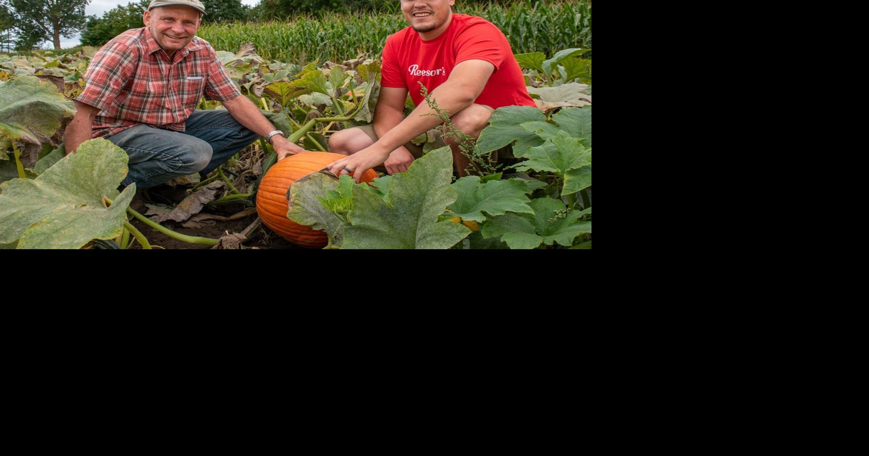 Reesor Farm Market moves to next generation