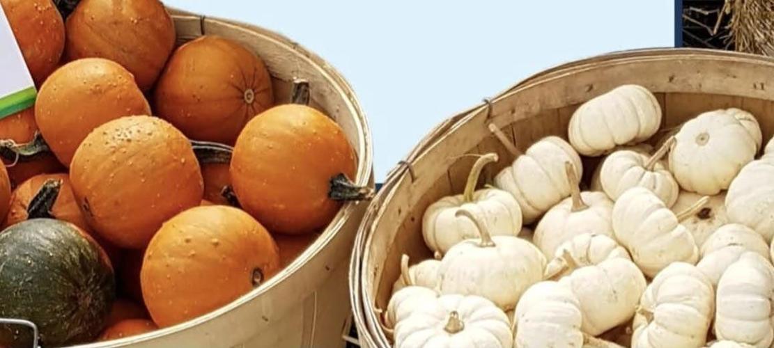 MAP: Things you need to know about the Markham farmers' markets