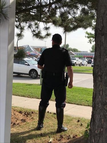 Opinion split after York cops hide in bushes to nab distracted drivers