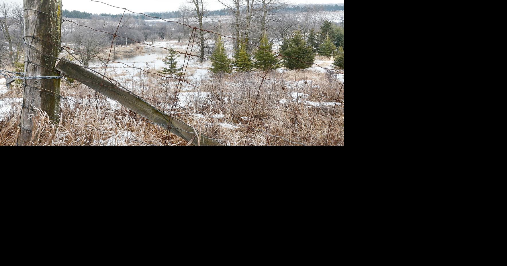 Stronach Group paying for Aurora eco-park