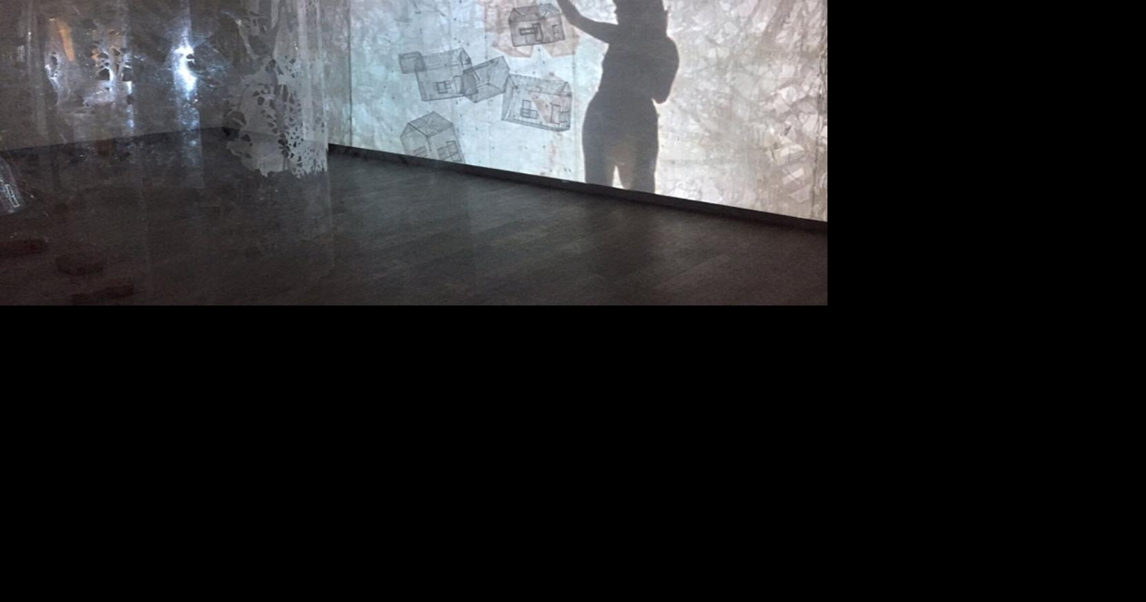 'Hypnotic' art installation exhibit by Toronto artist Ed Pien at ...