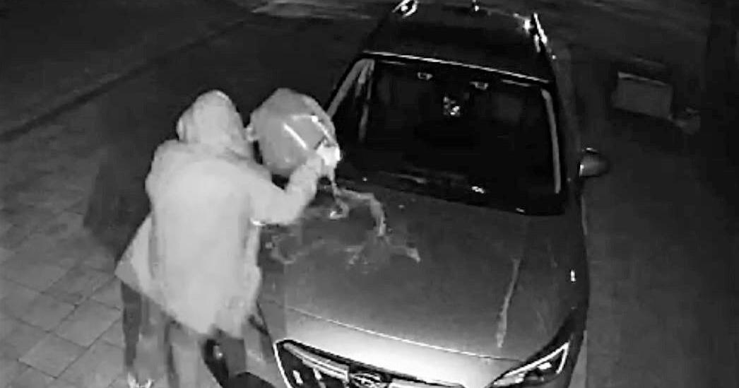 VIDEO: Car set on fire in Richmond Hill driveway, police seek witnesses
