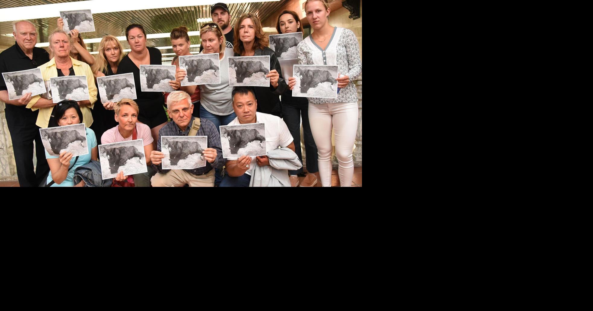 Animal advocates show support for abused horses in Newmarket courthouse