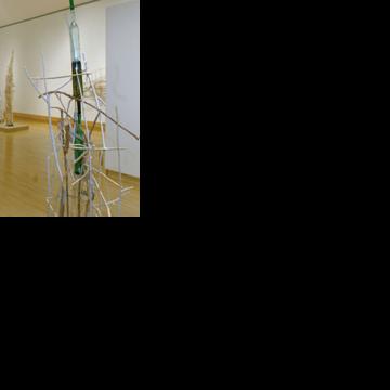 Varley gallery names new curator