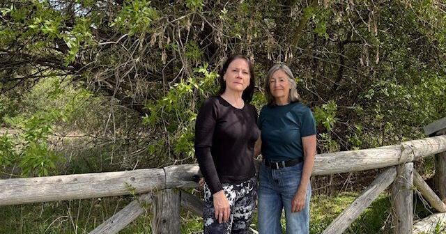 Ford could run ‘roughshod’ over environment, group fears