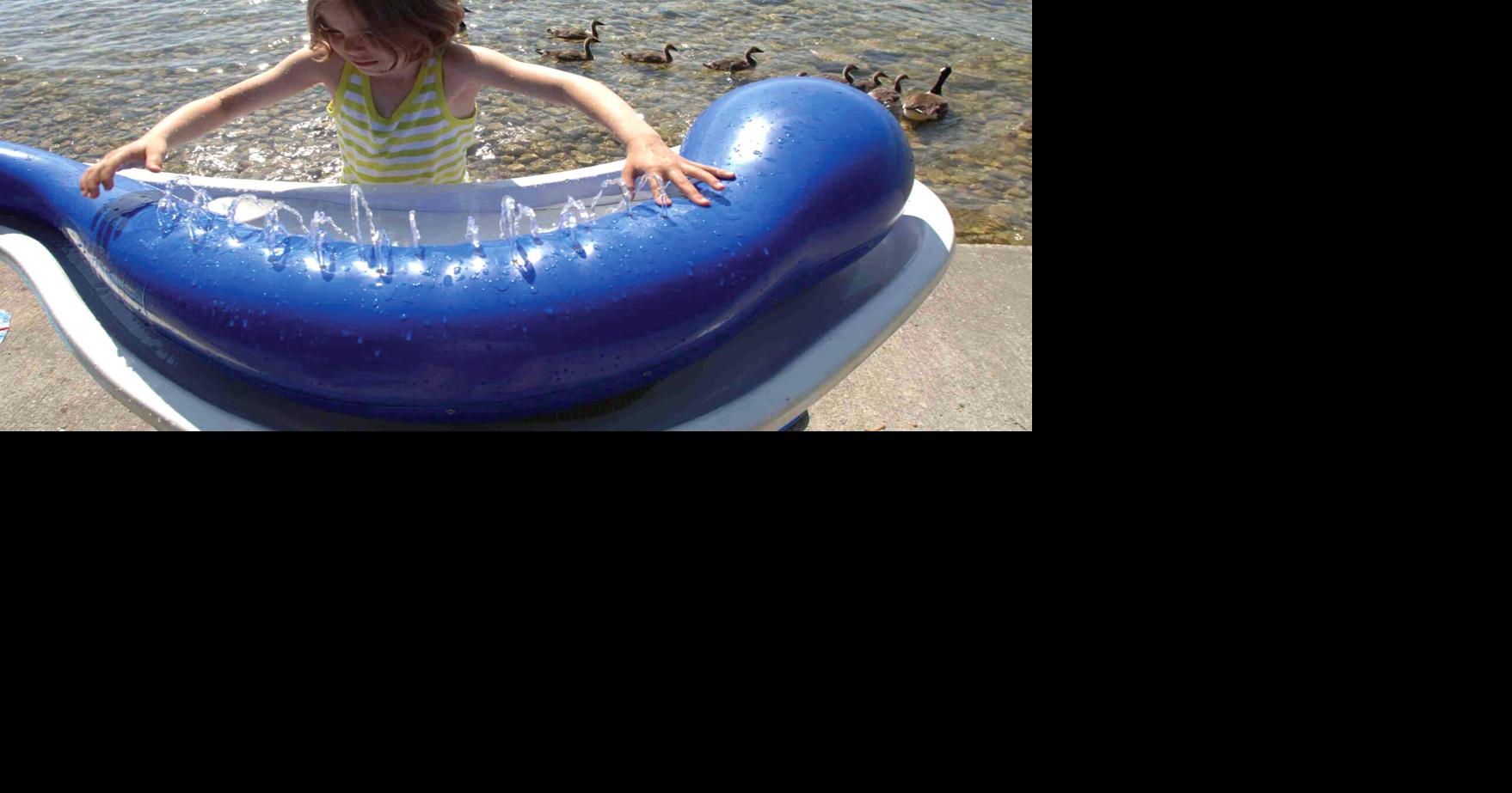 Hydraulophone offers unique performance