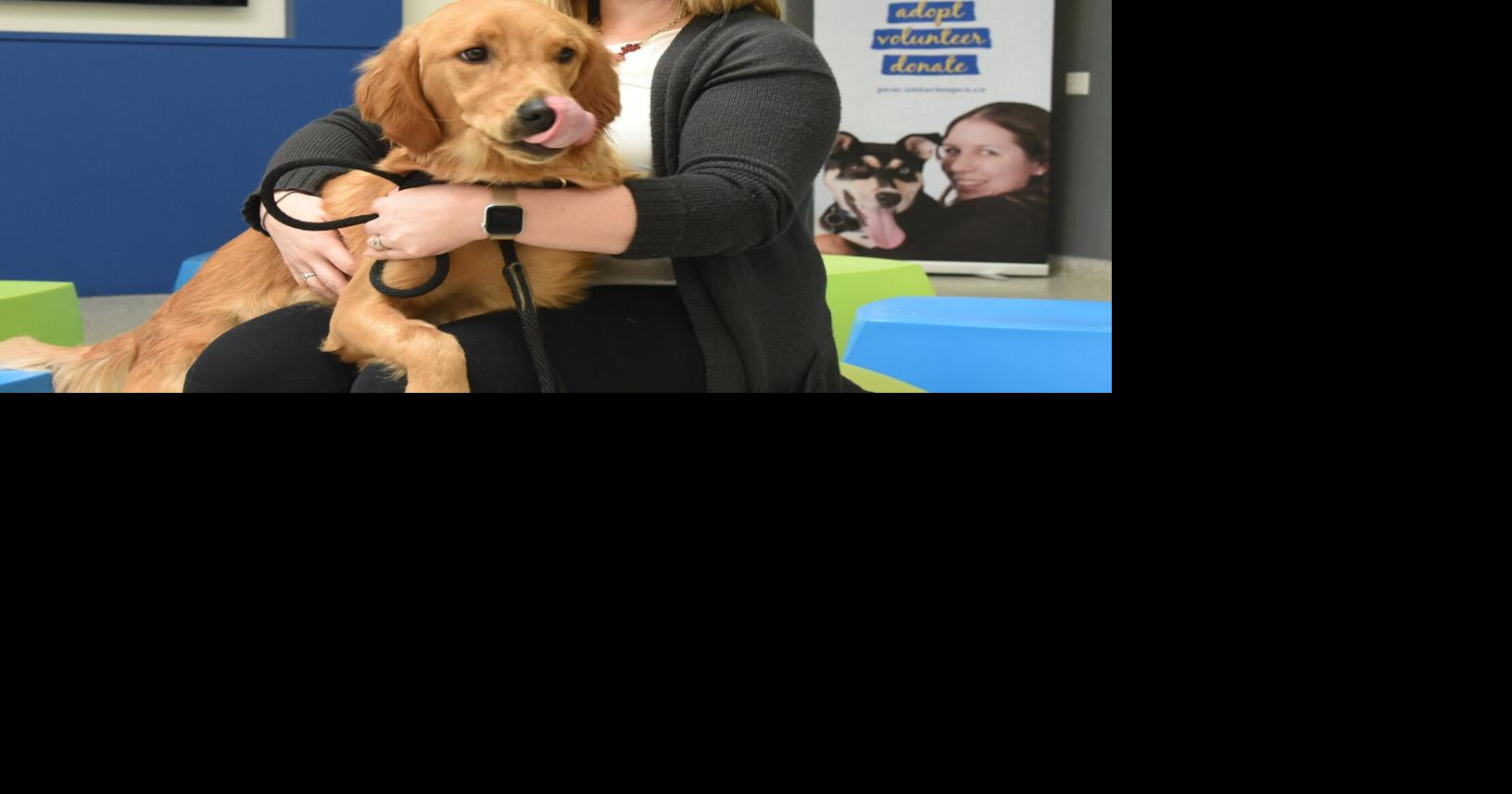 'Woefully under-resourced' OSPCA to abandon cruelty enforcement: CEO