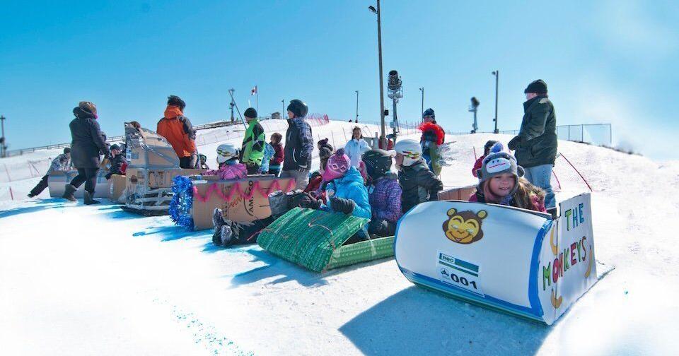 Cardboard toboggan race returns to Georgina this Saturday