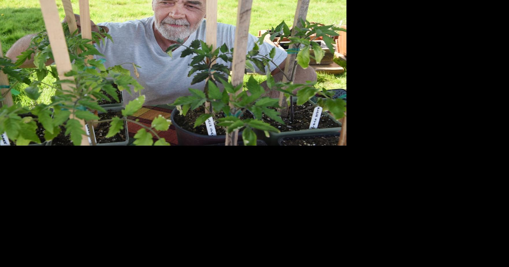 'Grown in Georgina' field-to-table series gets tourism boost