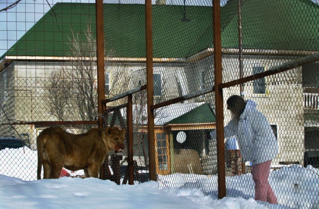 Founder of Loners motorcycle club charged with gun offence, threatening ...