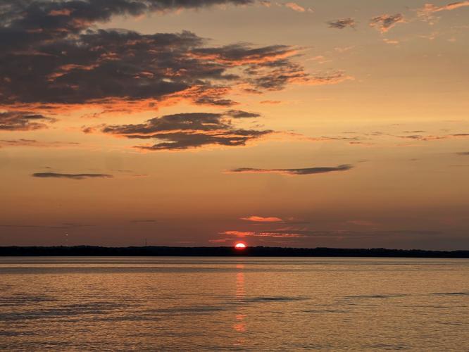 Georgina beaches unsafe for swimming, but beach bash awaits