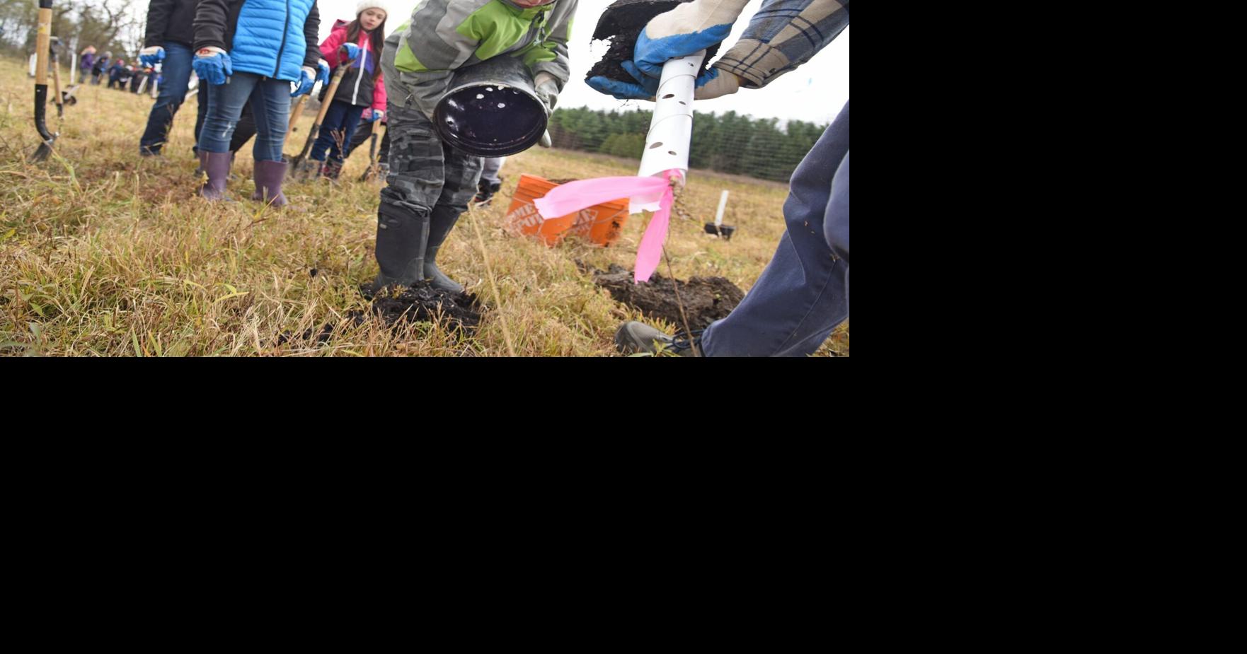 Nobleton Public School students plant 80 trees near Vaughan gas pipeline