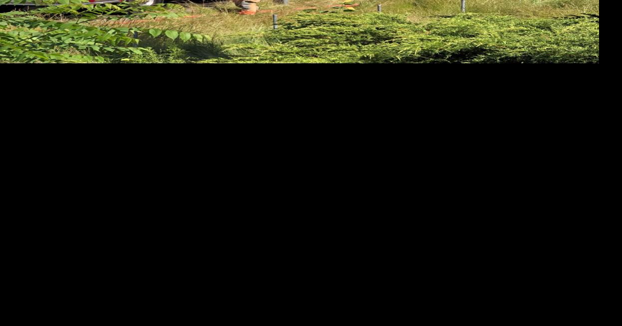 Cause of Kleinburg fire under police investigation