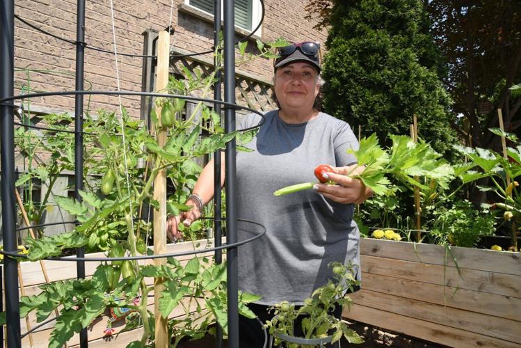 'Growing hope': York Region gardeners share tips on eco-friendly edible plants