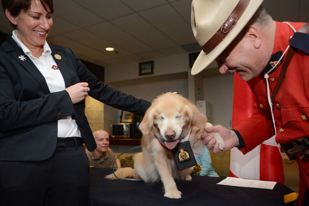Stouffville's Smiley joins RCMP as honorary service dog