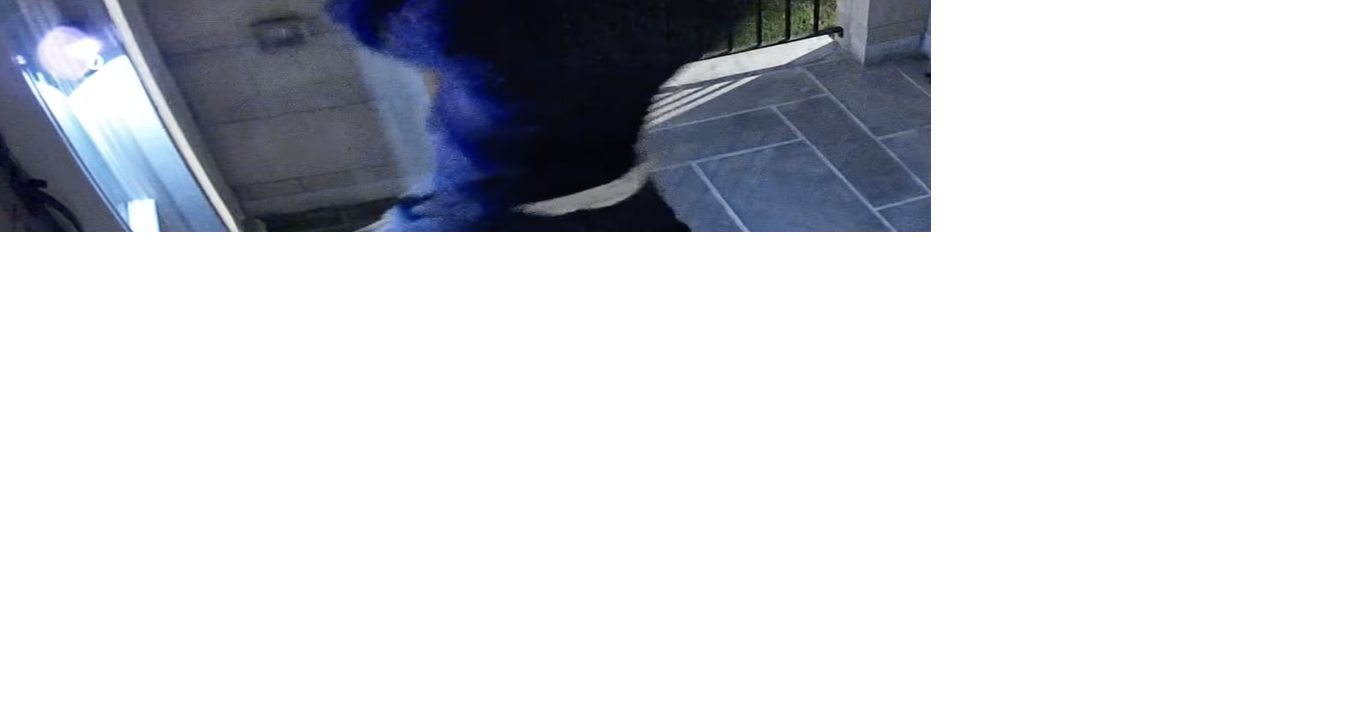 Suspects use axe to gain entry during Vaughan home invasion