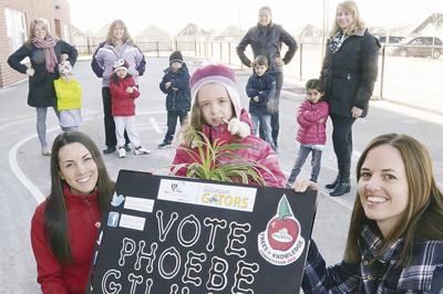 Phoebe Gilman Public School needs your vote to win playground for ...