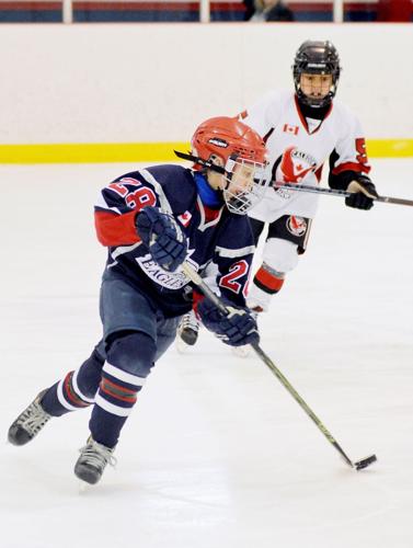 East Gwillimbury Sports Complex gets federal grant for dehumidifier