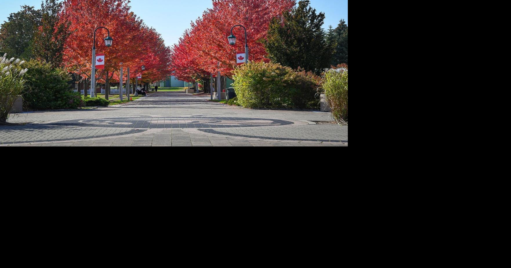 Online meeting to show revival plans for Richmond Green Park