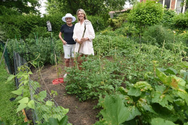 'Growing hope': York Region gardeners share tips on eco-friendly edible ...