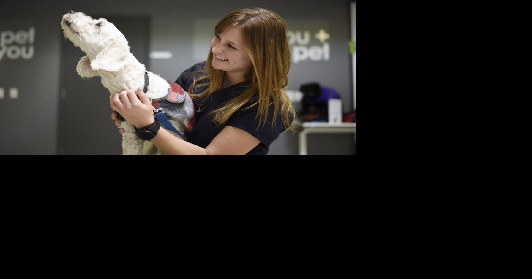 OSPCA calls on public to shape future of animal welfare in Ontario